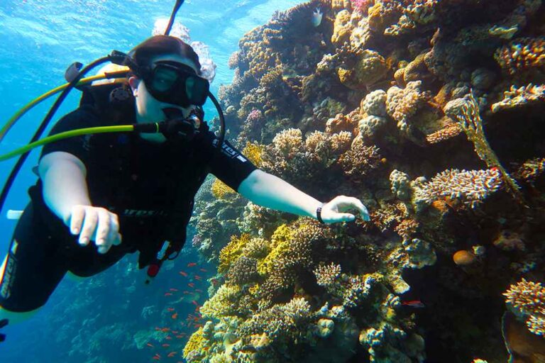 25 Egypt Bucket List Experiences