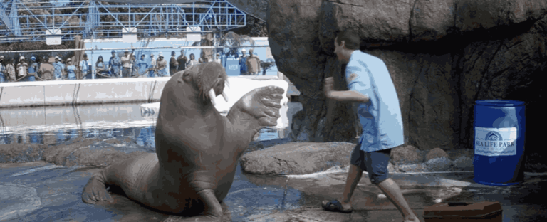 50 First Dates Filming Locations